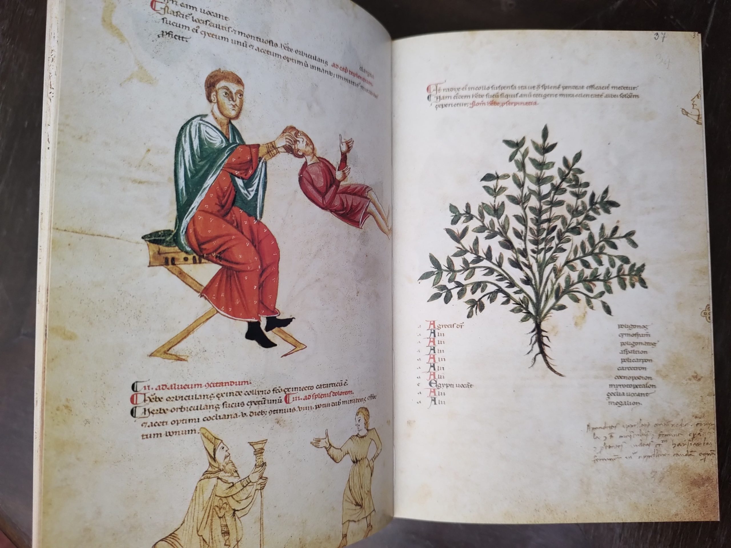 MEDICINA ANTIQUA, TOMO IV de D. Gracia, Charles H. Talbot, F ...