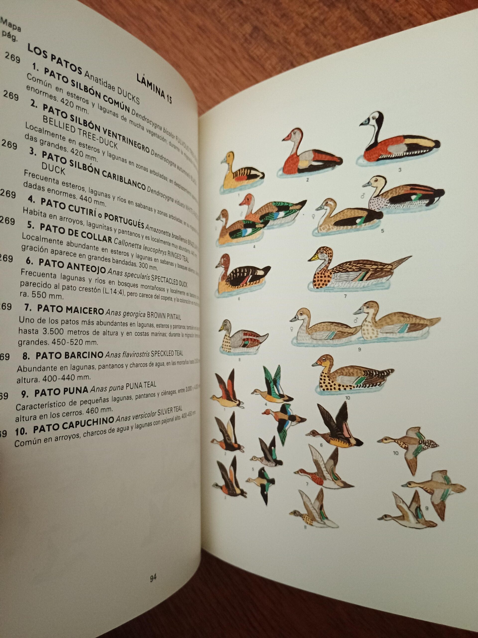 LAS AVES ARGENTINAS "UNA NUEVA GUÍA DE CAMPO" de Claes Chr. Olrog ...