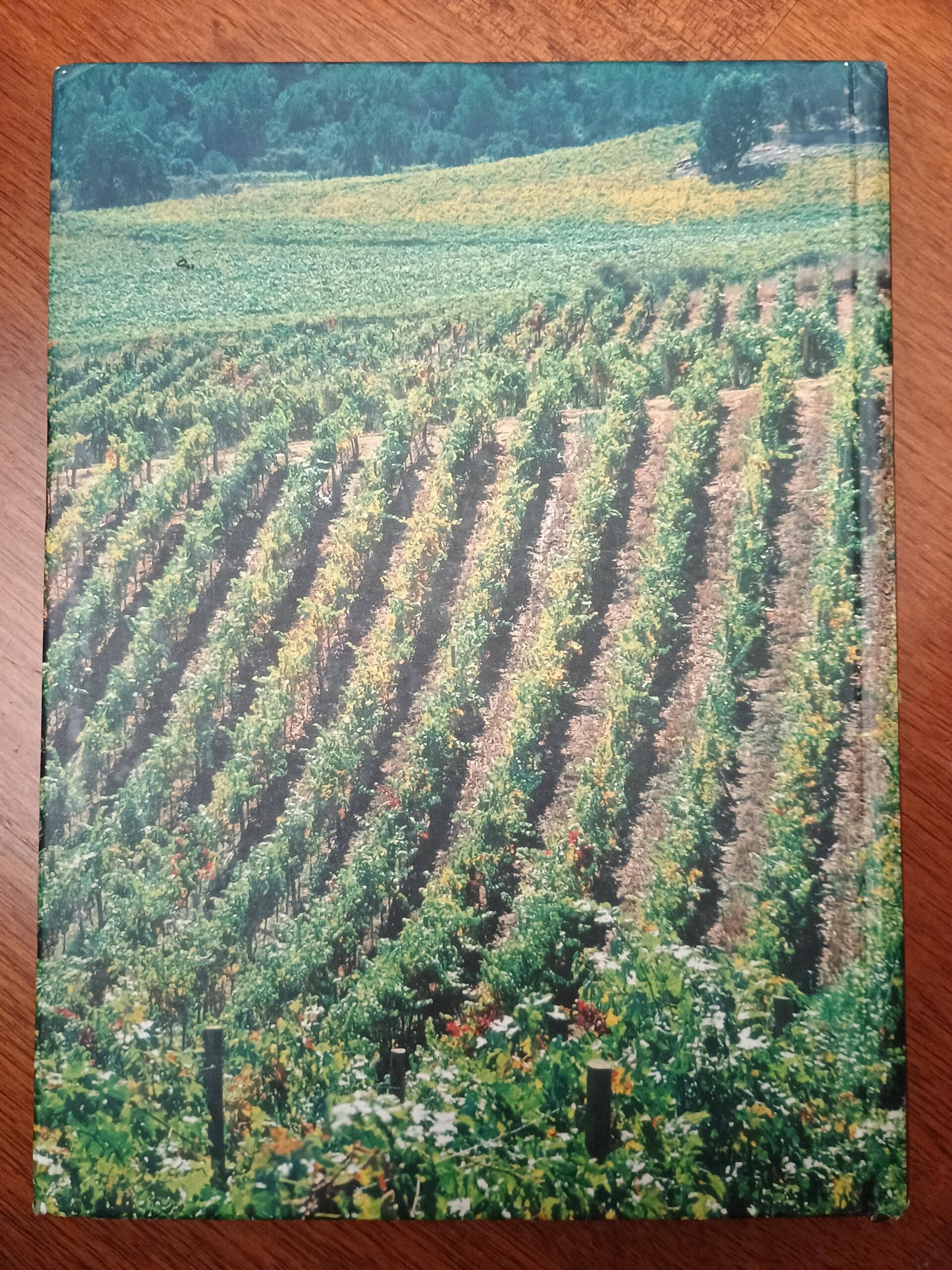 EL VINO CHILENO, UNA GEOGRAFÍA ÓPTIMA de Magdalena Le Blanc - Galeria Boireau