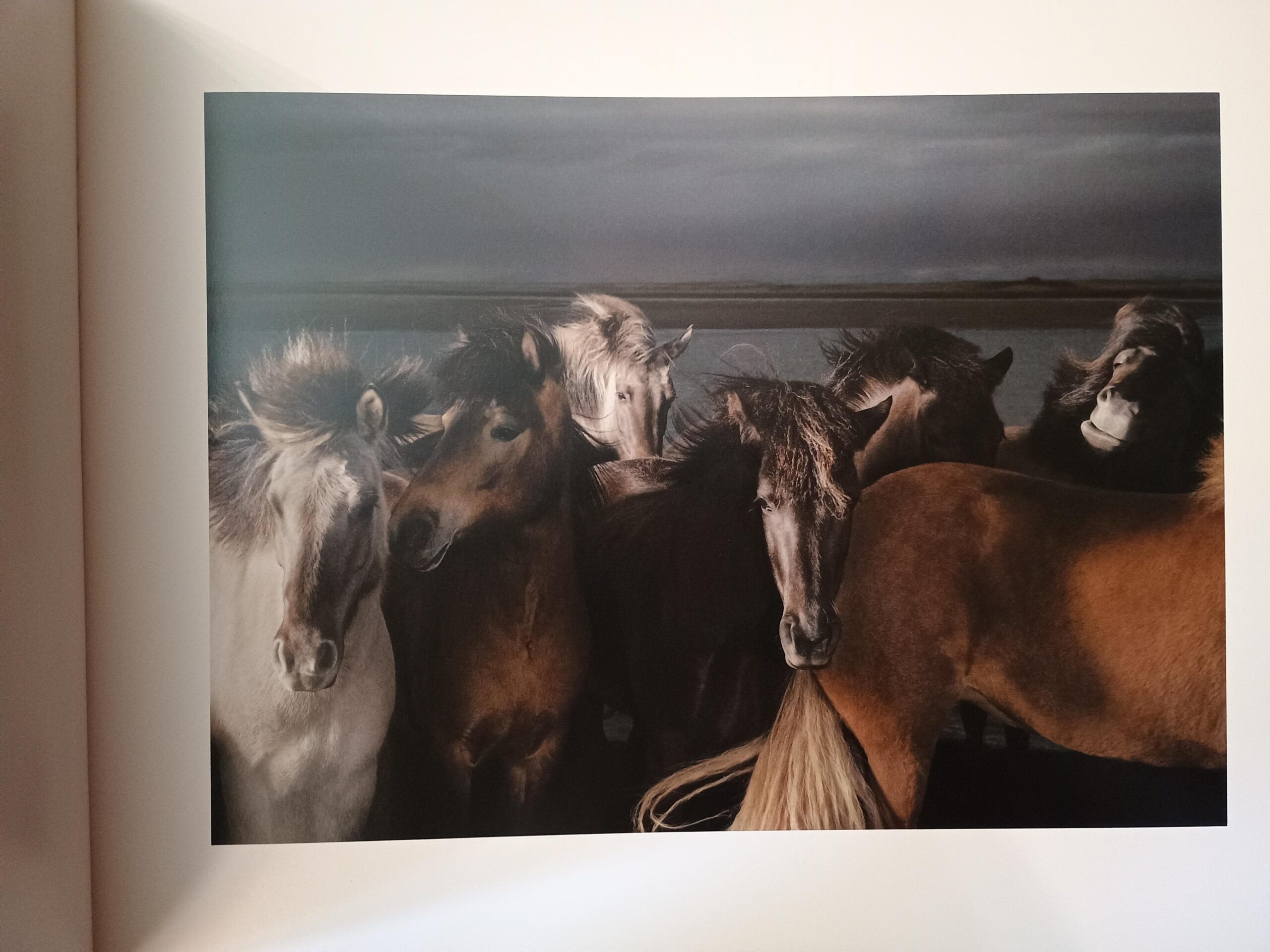 EQUUS de Tim Flach - Galeria Boireau